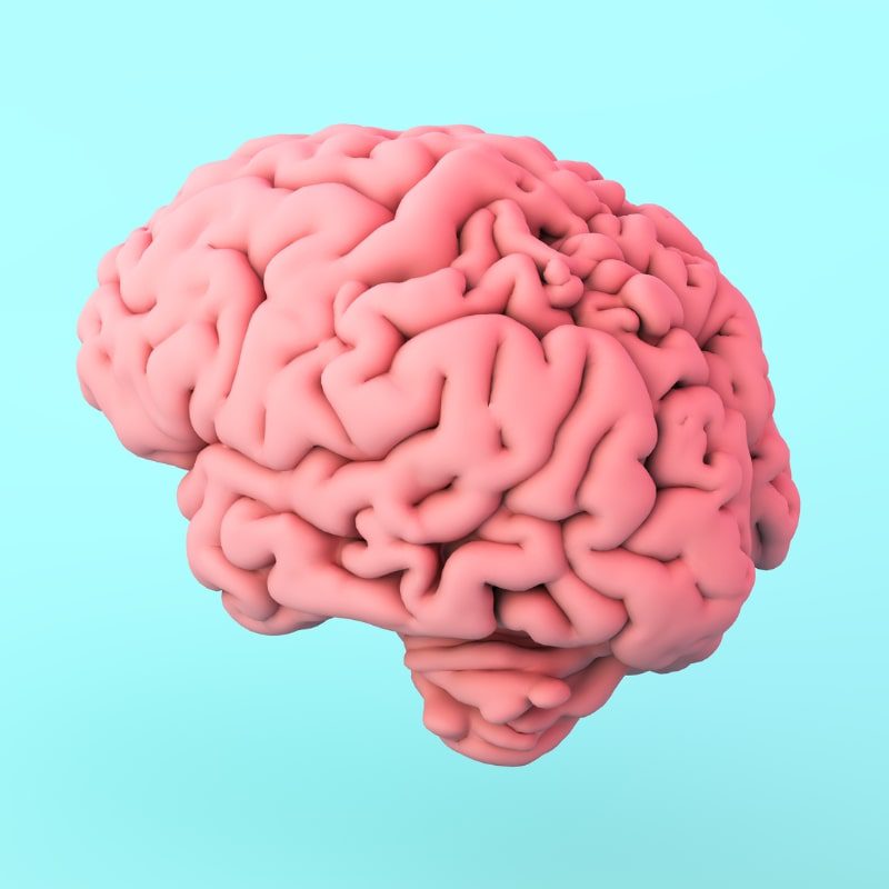 Understanding the Brain Helps Us Become More Effective SEL Educators ...