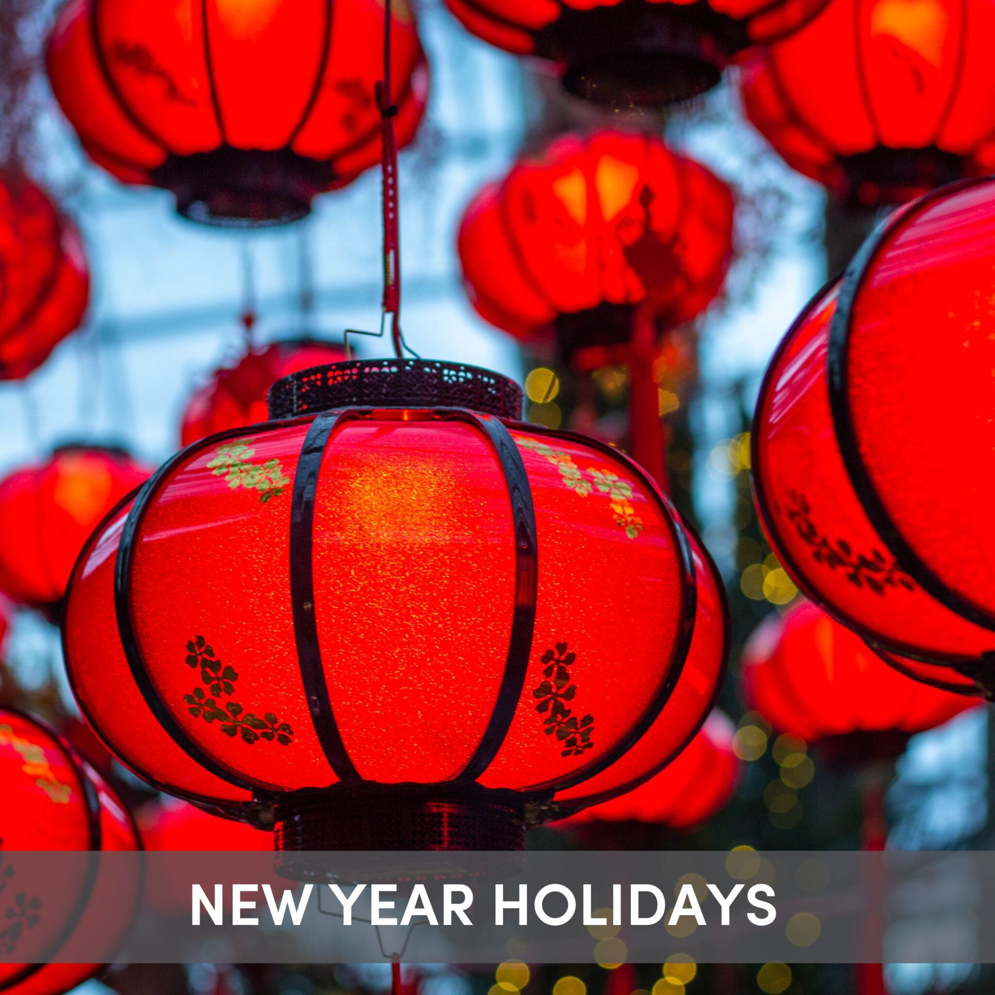 Free SEL Activities for elementary and middle school