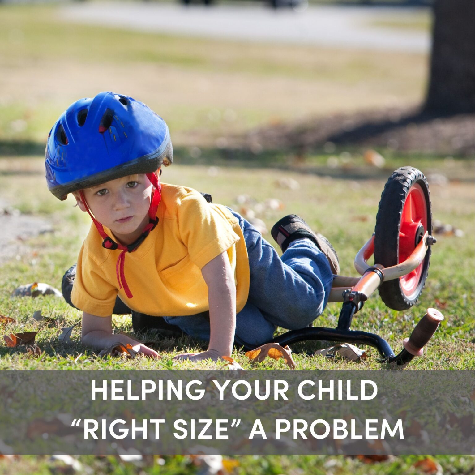 SEL Resources for Parents and Guardians | SEL Activities for Families ...